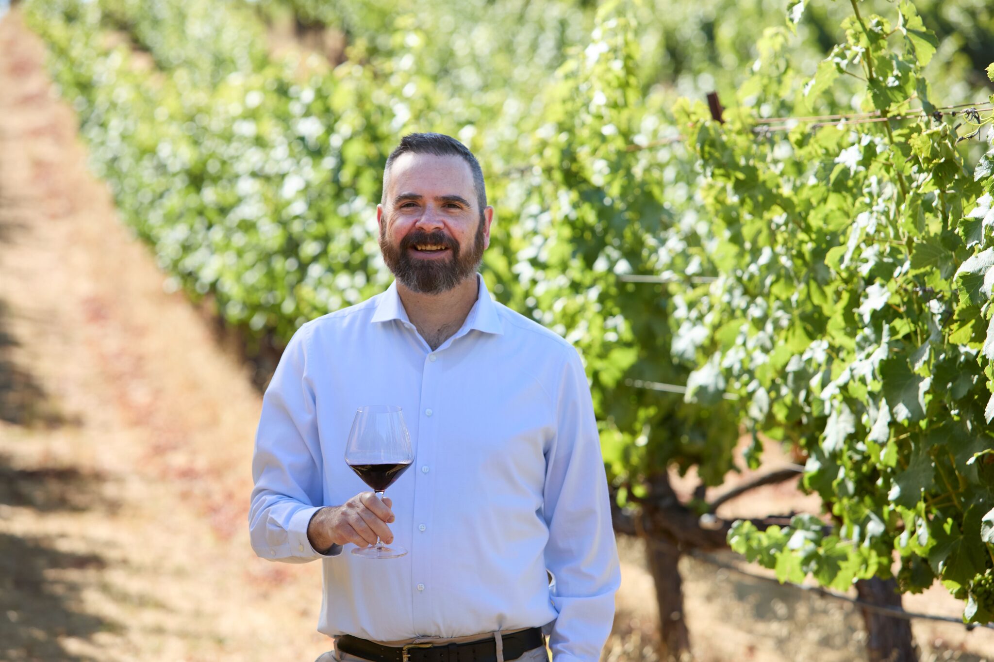 Our Story - Benziger Family Winery